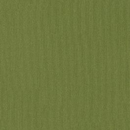 47639 BASIL (SILVERTEX)