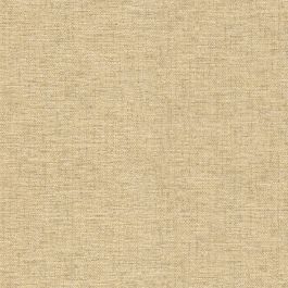 Luxury Fabrics, Inc. 54007 CANVAS (ASTRO)